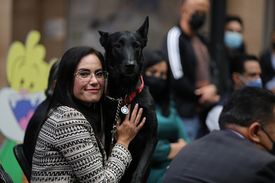 Le apuestan por un León 'Pet-Friendly' - ContrapuntoNews