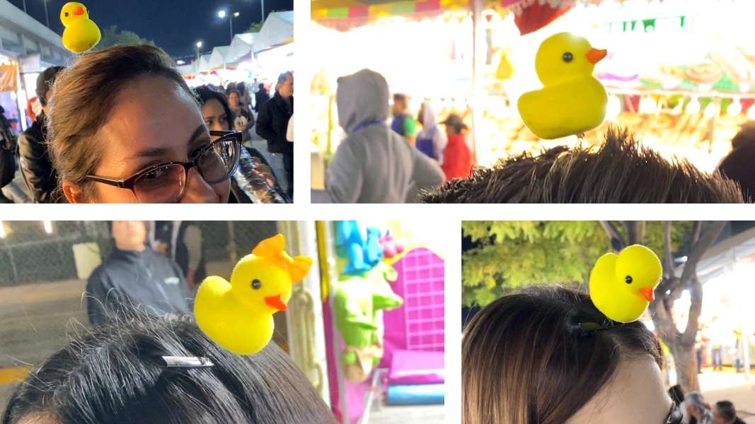 Furor en la Feria de León por los patitos amarillos - ContrapuntoNews Furor en la Feria de León por los patitos amarillos - ContrapuntoNews