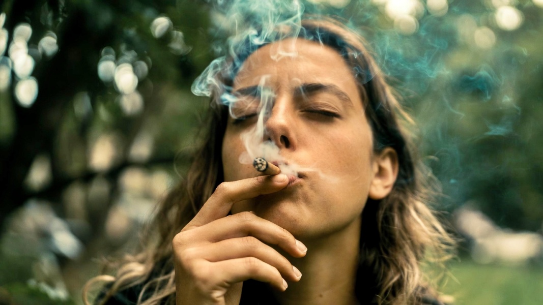 Marihuana La Droga Más Consumida En México Contrapuntonews